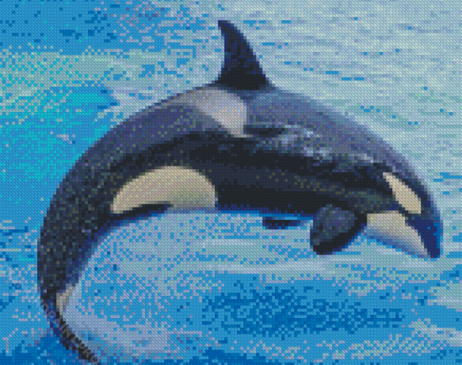 Orca Fish - Diamond Painting - DiamondPaint.PRO