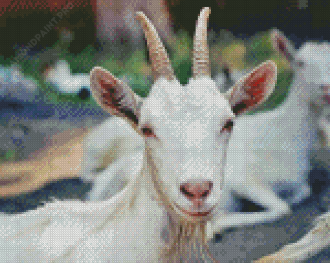 Aesthetic White Goats - Diamond Painting - DiamondPaint.PRO