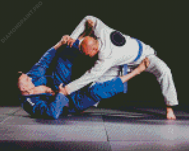 Brazilian Jiu Jitsu Diamond Painting - DiamondPaint.PRO