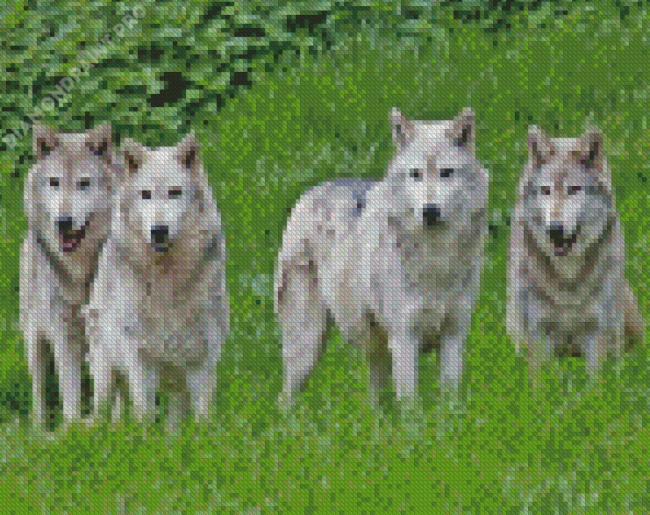 Pack Of Wolves - Diamond Painting - DiamondPaint.PRO